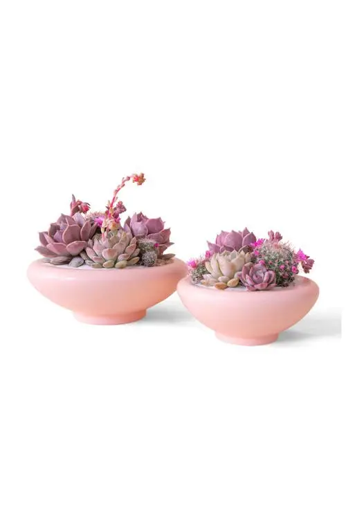 JUNGLE CLUB Birdie Bowl - Petal Pink