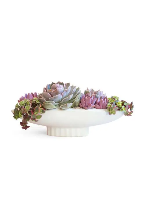 JUNGLE CLUB Luna Boat Bowl Planter - Vintage White