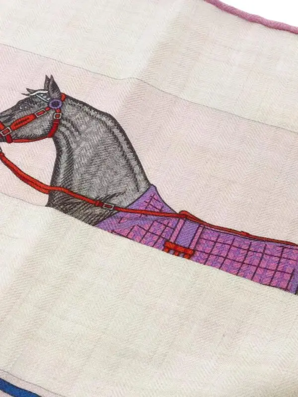 Hermès 2010s Carréjan Scarf