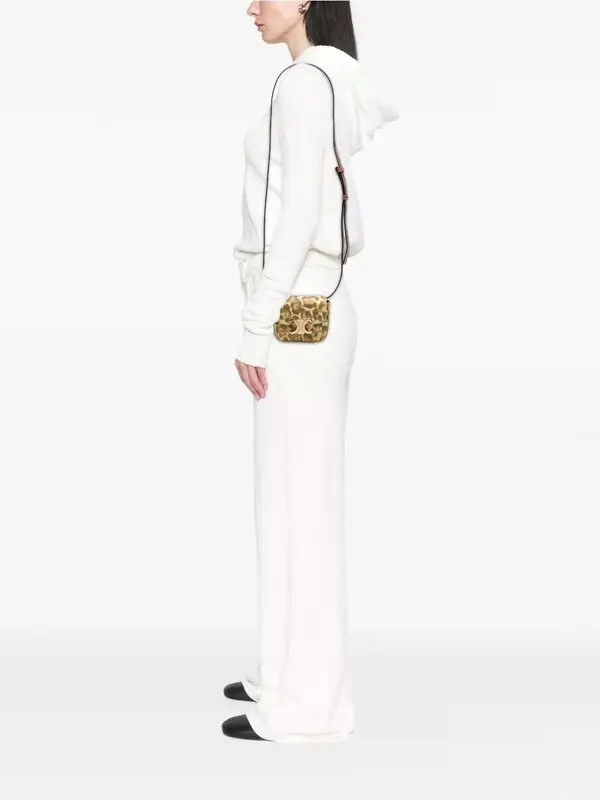 Celine 2023 Mini Leopard Print Claude Crossbody Bag