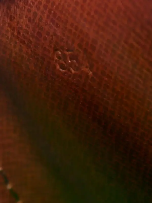 LOUIS VUITTON Cartesier Gm Monogram Shoulder Bag