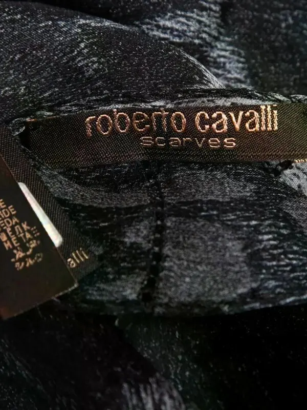 Roberto Cavalli 2023 Leopard-print Silk Scarf - Black
