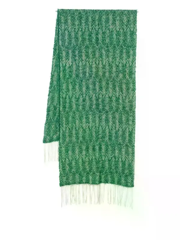 Dries Van Noten 2010s Herringbone Scarf - Green