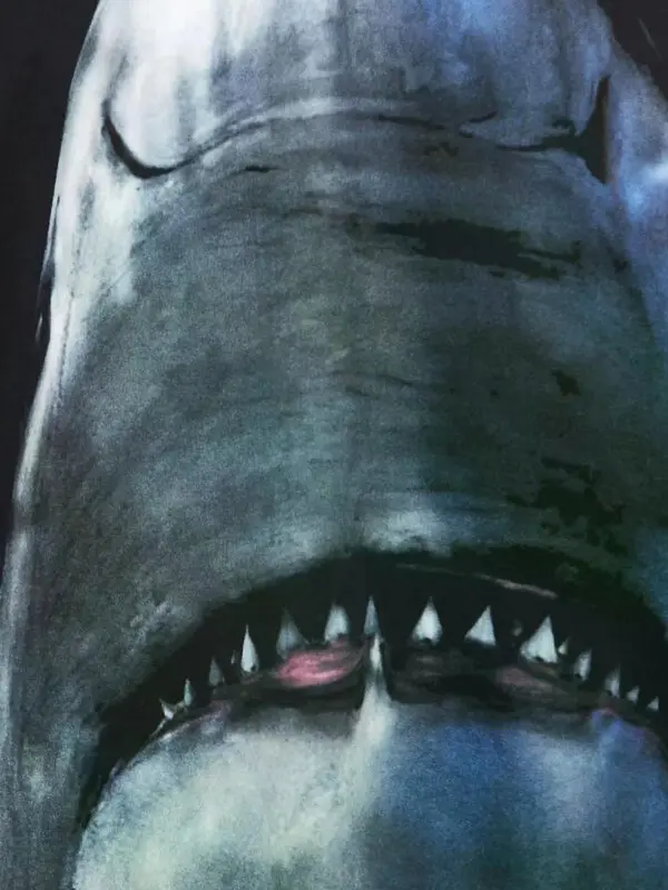 Givenchy Shark-print T-shirt