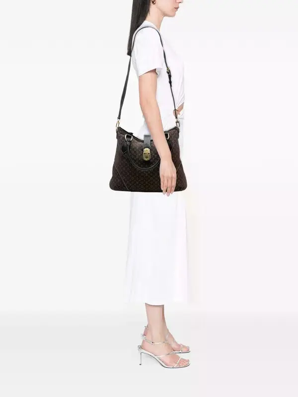 LOUIS VUITTON 2005-2020 Monogram Idylle Elegie Satchel
