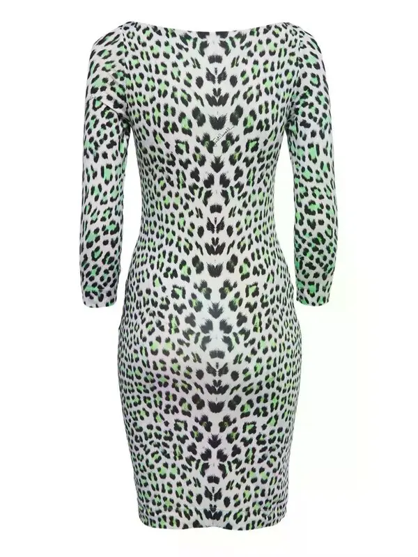 Just Cavalli Vintage Leopard-print Dress