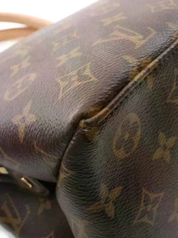 LOUIS VUITTON Petit Palais Two-way Handbag