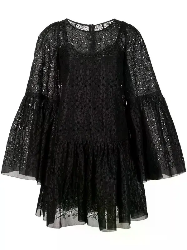 Dolce & Gabbana Floral-embroidered Flared Minidress