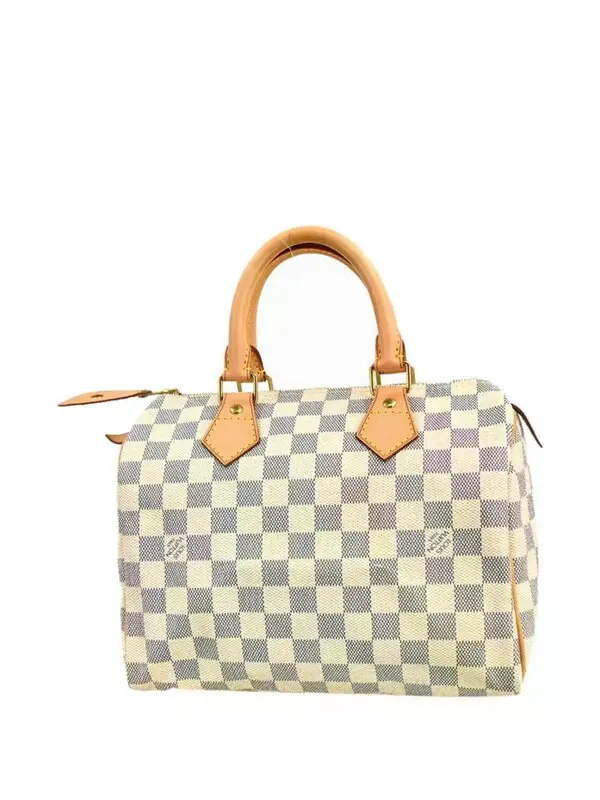 LOUIS VUITTON 2010 Speedy 25 Handbag