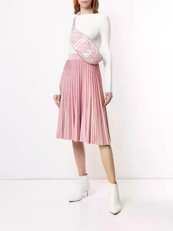Dior Trotter Print Belt Bag - Pink