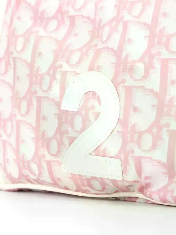 Dior Trotter Print Belt Bag - Pink