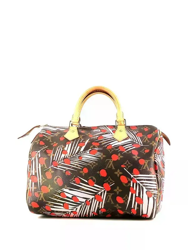 LOUIS VUITTON Speedy 30 Handbag - Brown