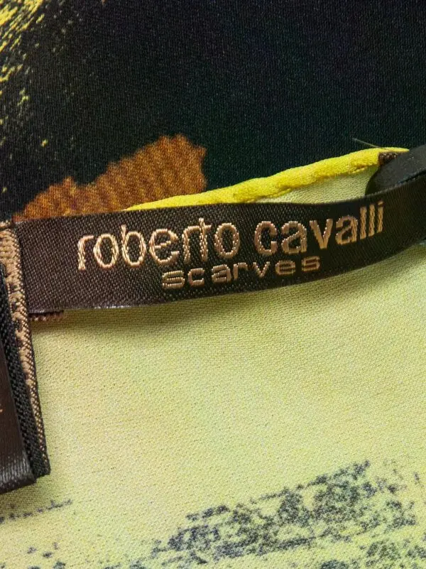 Roberto Cavalli Pre-owned Abstract-print Scarf