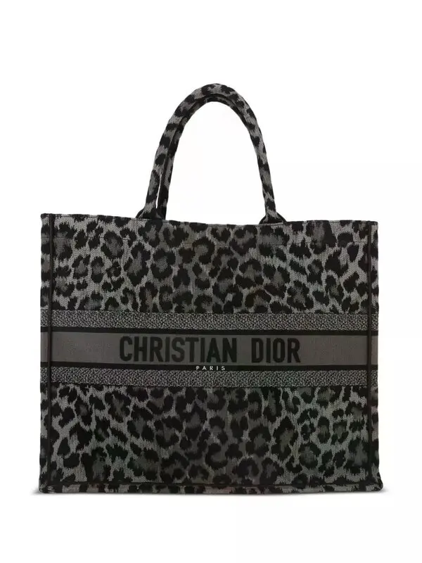 Dior Book Tote