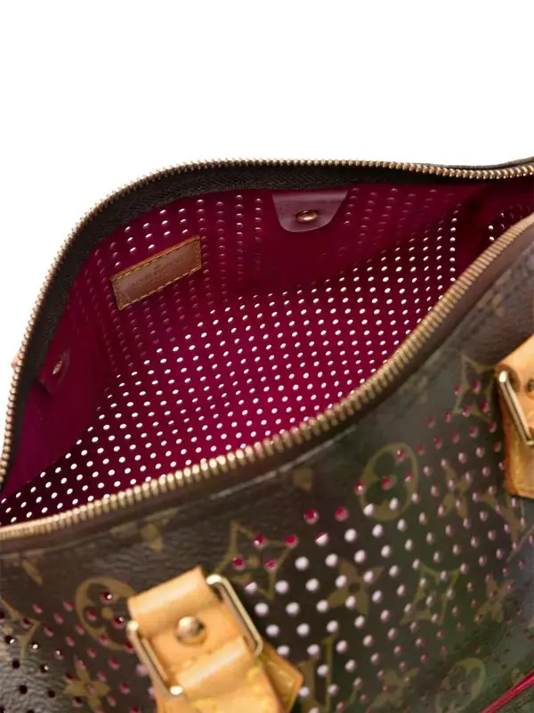 LOUIS VUITTON Speedy 30 Tote - Brown