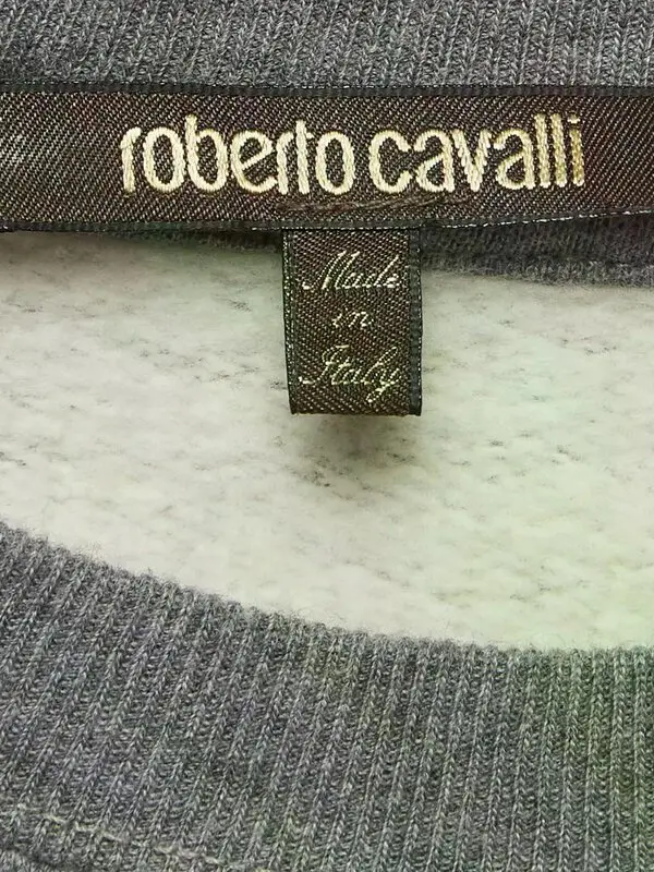 Roberto Cavalli Graphic-print Sweater