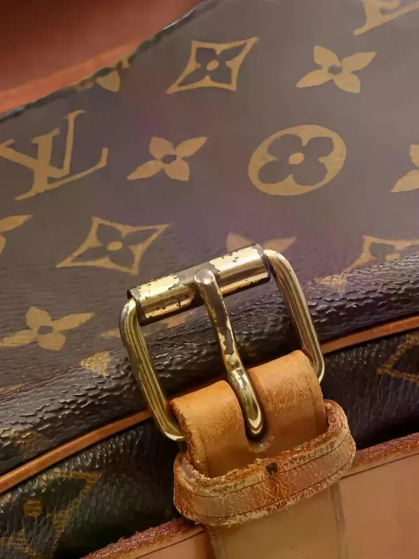 LOUIS VUITTON Cartouchiere Mm Crossbody Bag