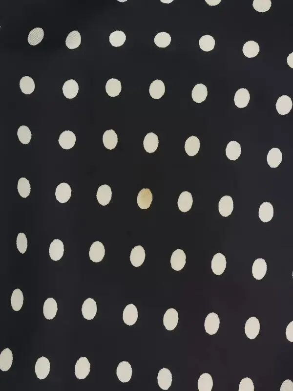 Celine Polka-dot Silk Skirt