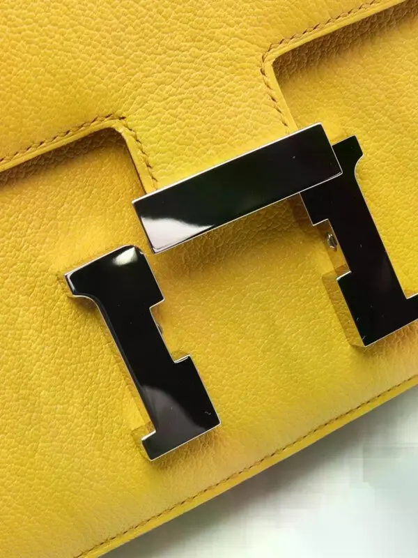 Hermès 2023 Mini Constance 3 Shoulder Bag
