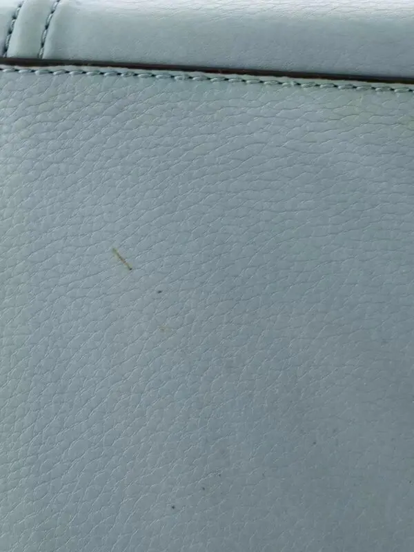 Celine Phantom Medium Tote Bag