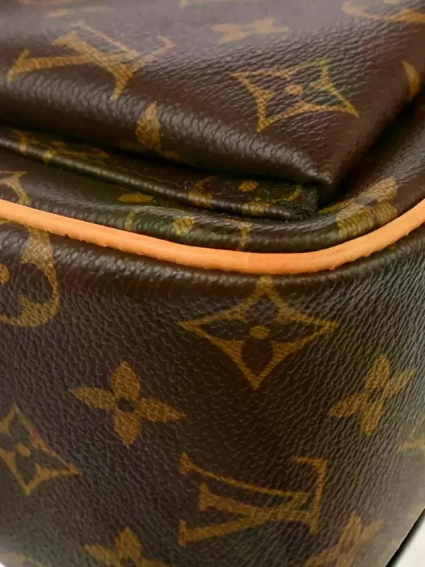 LOUIS VUITTON Vivacité Gm Shoulder Bag
