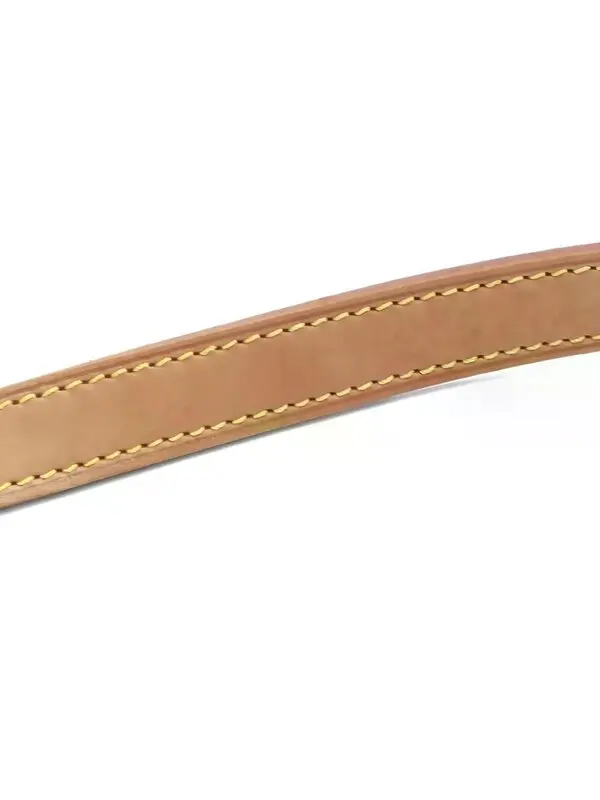 LOUIS VUITTON Tambourine Monogram Crossbody Bag