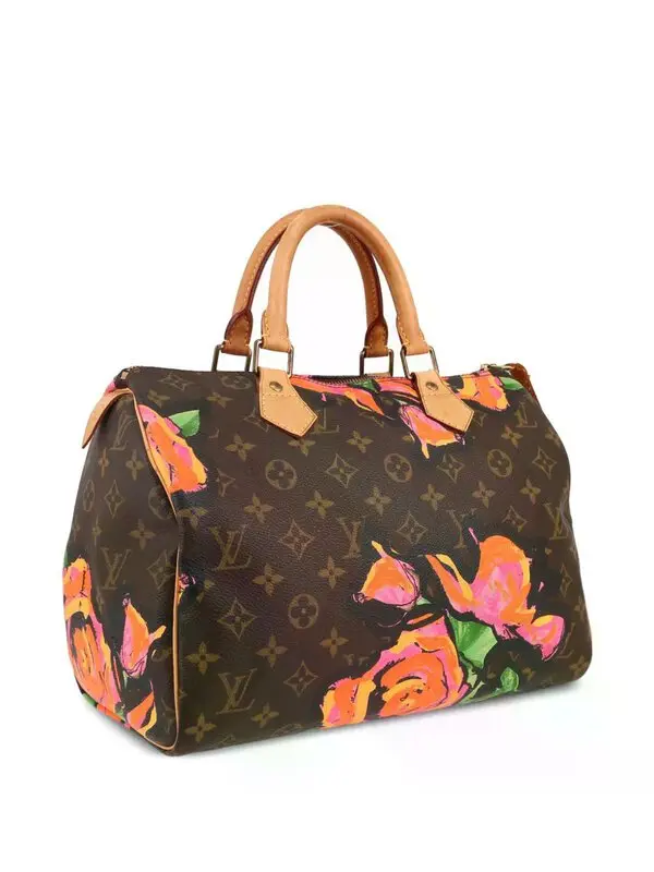 LOUIS VUITTON 2009 Speedy Editions Limitées Handbag