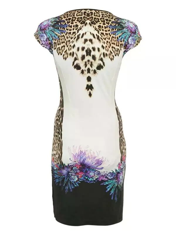 Just Cavalli Vintage Leopard-print Mini Dress