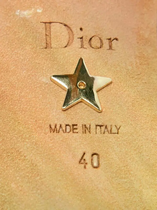 Dior 110mm Mesh Suede Pumps