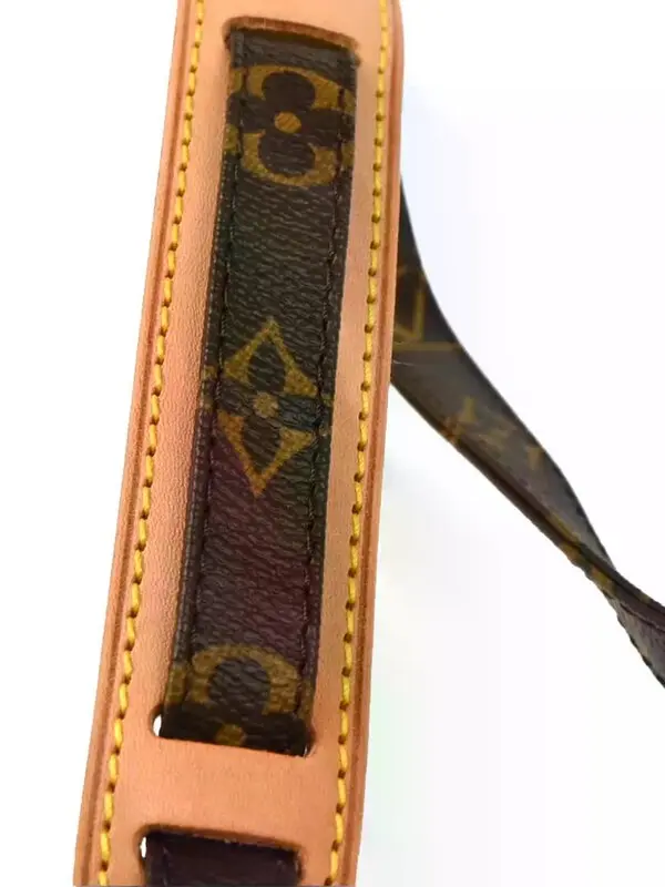 LOUIS VUITTON Monogram Amazon Crossbody Bag