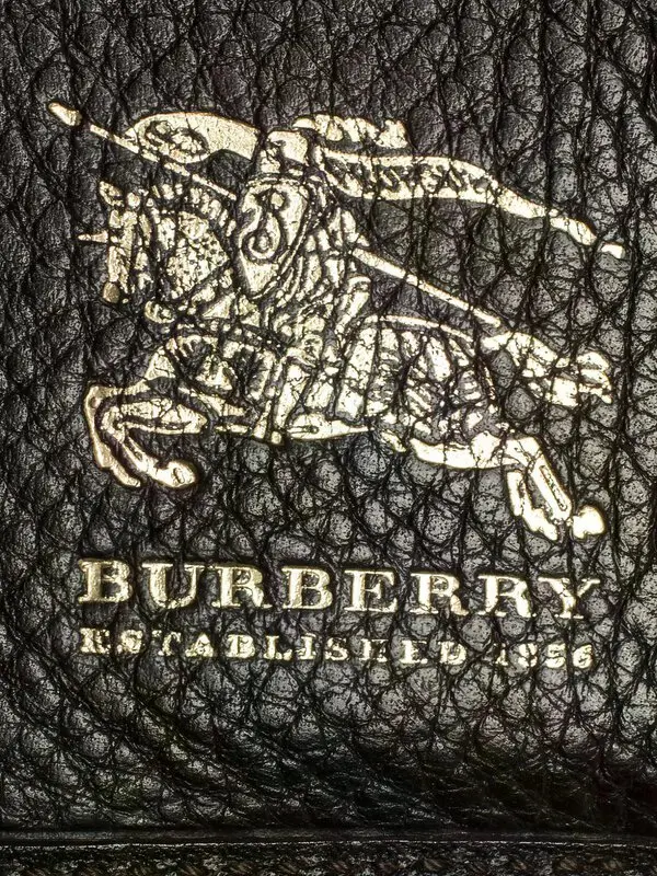 Burberry Check Buckle Wallet