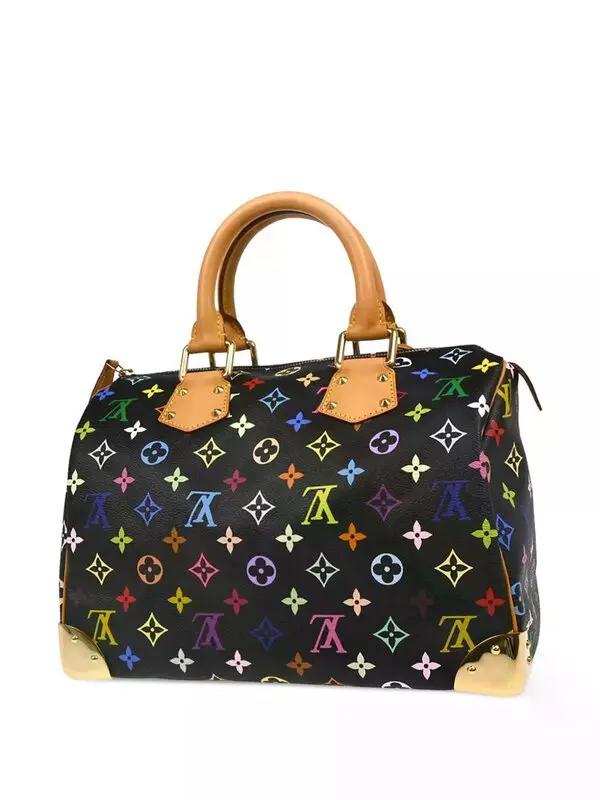LOUIS VUITTON Speedy 30 Handbag