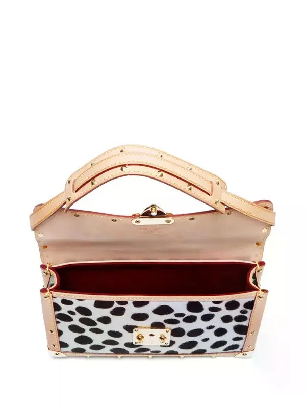 LOUIS VUITTON Sac Dalmatian Handbag