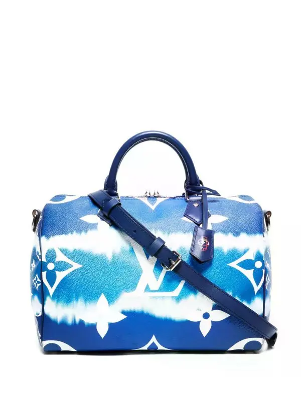 LOUIS VUITTON Speedy 30 Tote Bag - Blue