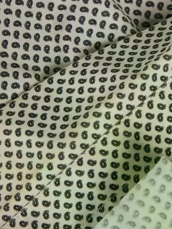 Etro Paisley Cotton Shirt