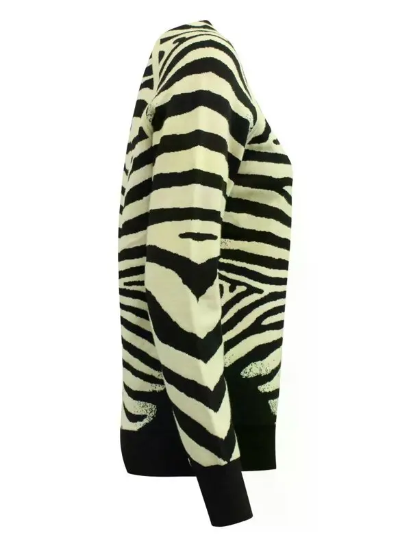 A.L.C. Rizzou Zebra-print Raglan-sleeve Sweatshirt
