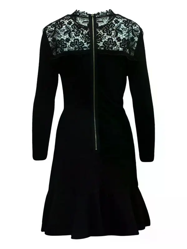 Erdem Lace-panel Dress