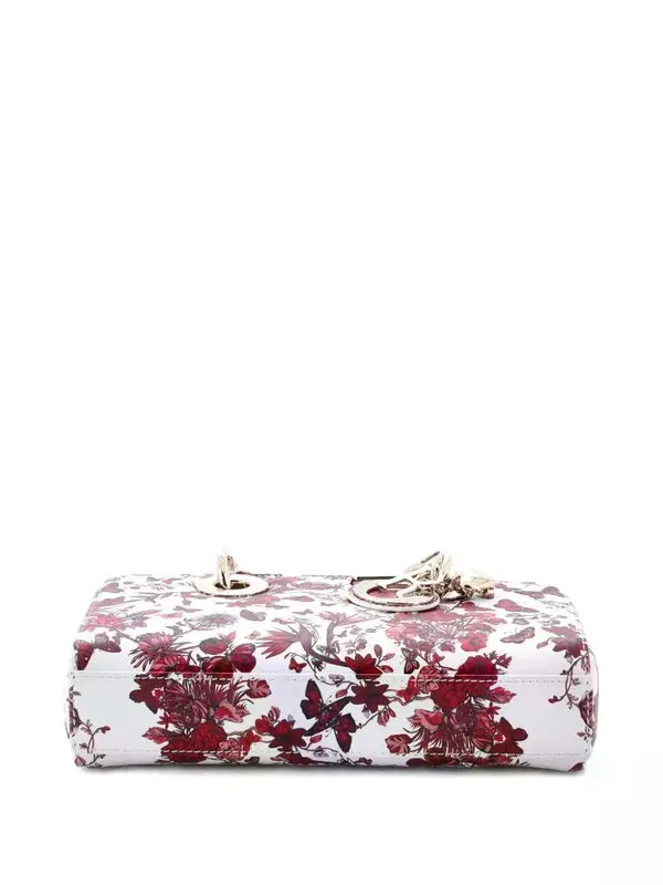 Dior Lady D-joy Printed Leather Small Satchel