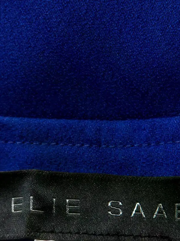 Elie Saab Flared Skirt