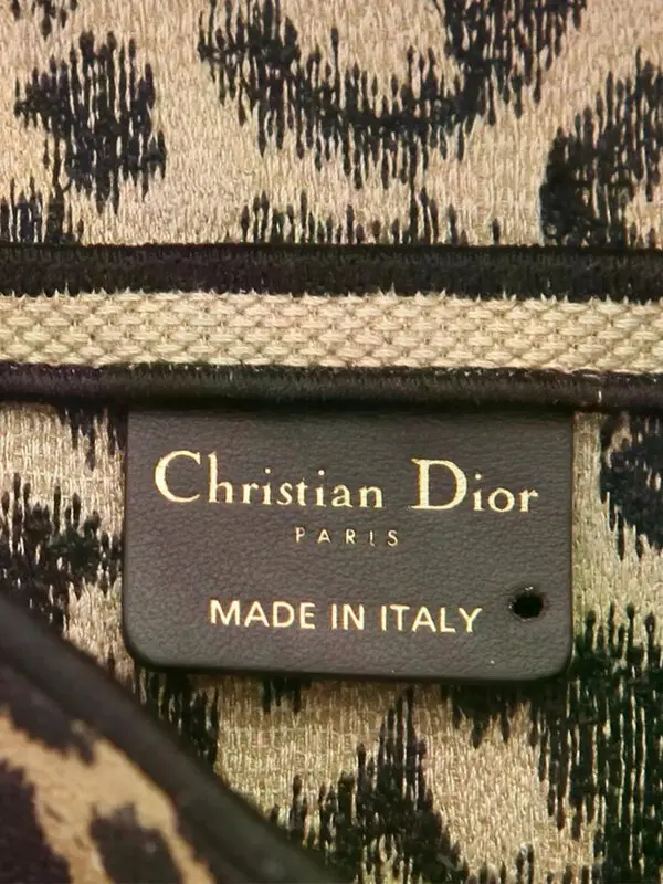 Dior Saddle Shoulder Bag