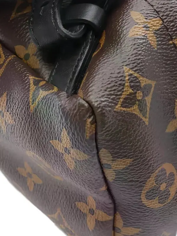 LOUIS VUITTON Palm Springs Pm Monogram Backpack - Brown