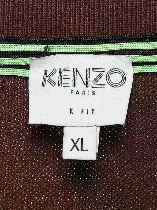 Kenzo 2024 Tiger-embroidered Polo Shirt