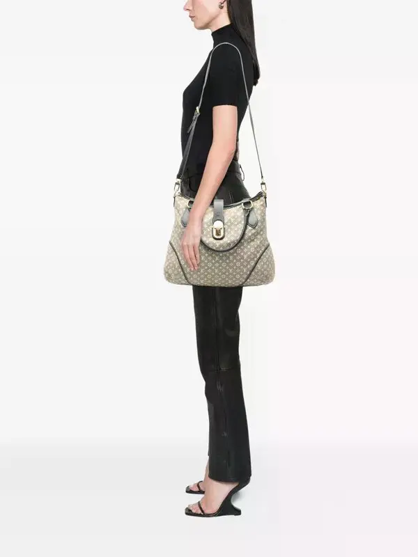 LOUIS VUITTON 2010 Monogram Idylle Elegie Satchel