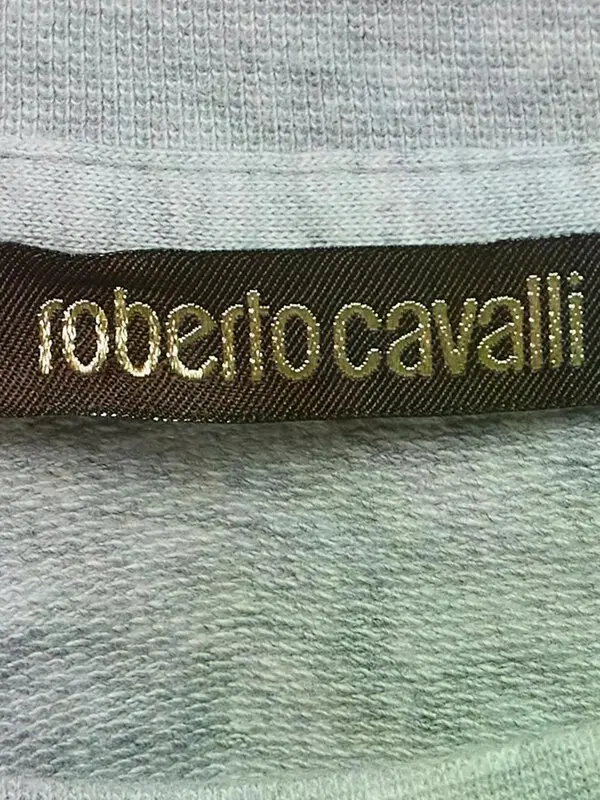 Roberto Cavalli Logo-print Sweatshirt
