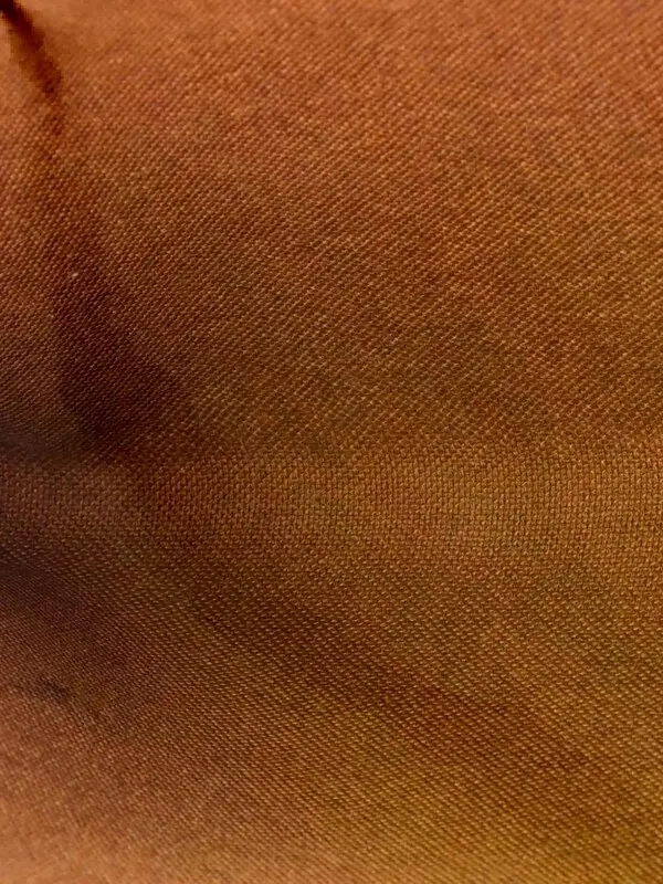 LOUIS VUITTON Eva Handbag Monogram Canvas