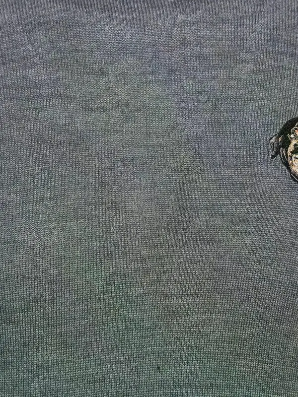Givenchy Embroidered Wool Sweatshirt