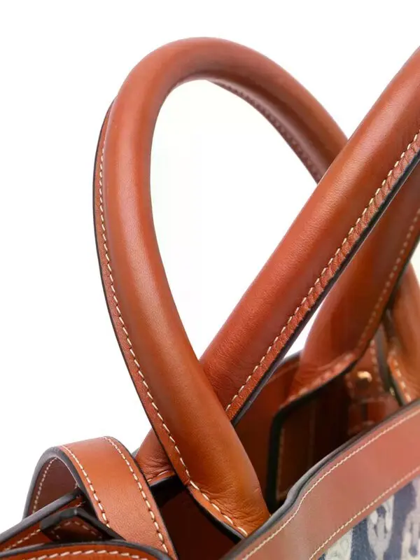Celine 2020 Small Triomphe Maillon Vertical Cabas Satchel