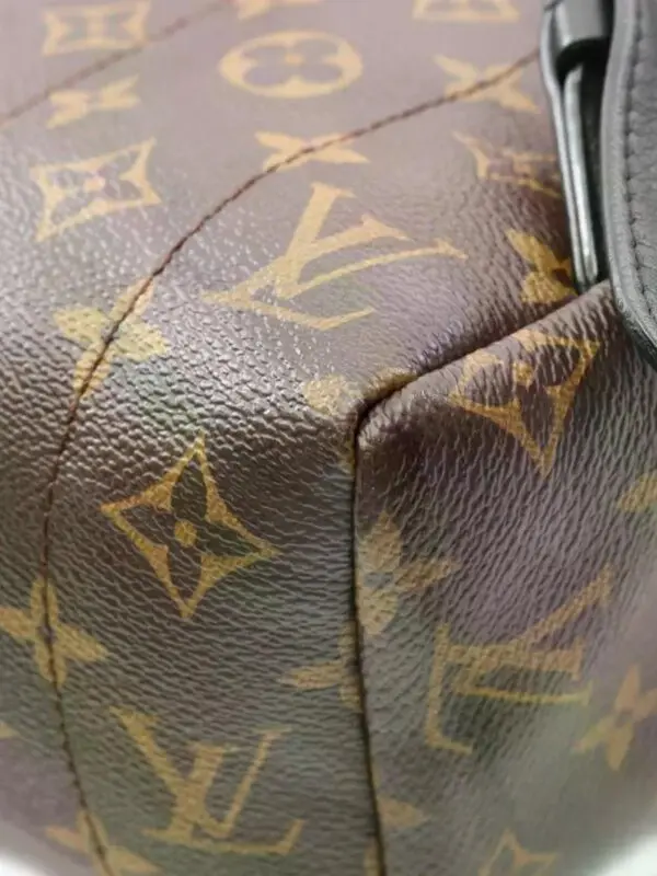 LOUIS VUITTON Monogram Palm Springs Mm Backpack - Brown