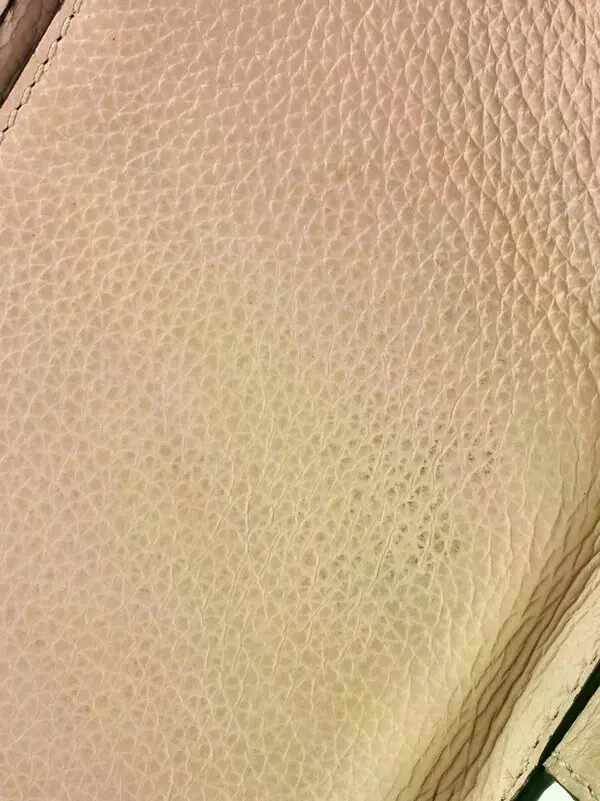 Chloé Marcie Mini Crossbody Bag