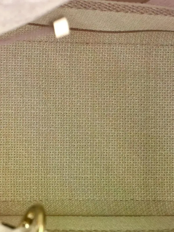 Dior Toile De Jouy Lady D-lite Embroidered Canvas Tote Bag - Neutrals